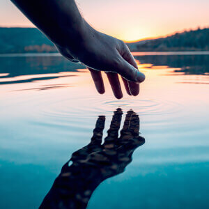 The Infinity Wave With Hope Fitzgerald | The Shift Network