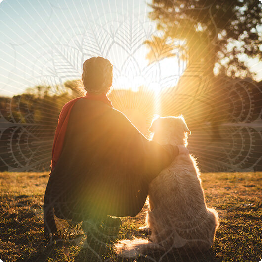 Animal Communication & Energy Healing From Birth to Beyond With Joan ...