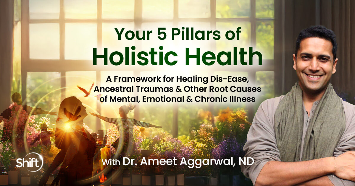 Your 5 Pillars of Holistic Health with Ameet Aggarwal | The Shift Network