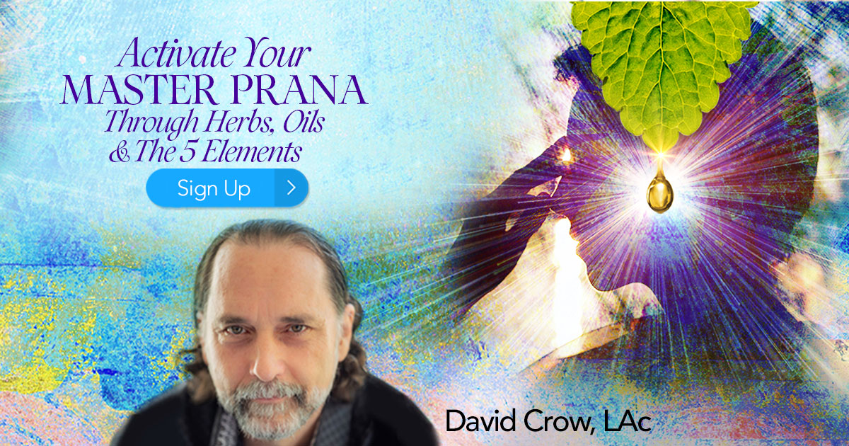 Q&A with David Crow | The Shift Network