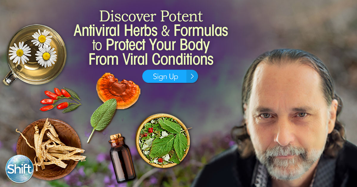 Discover Potent Antiviral Herbs & Formulas to Protect Your Body From ...