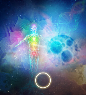 Trainings | The Shift Network