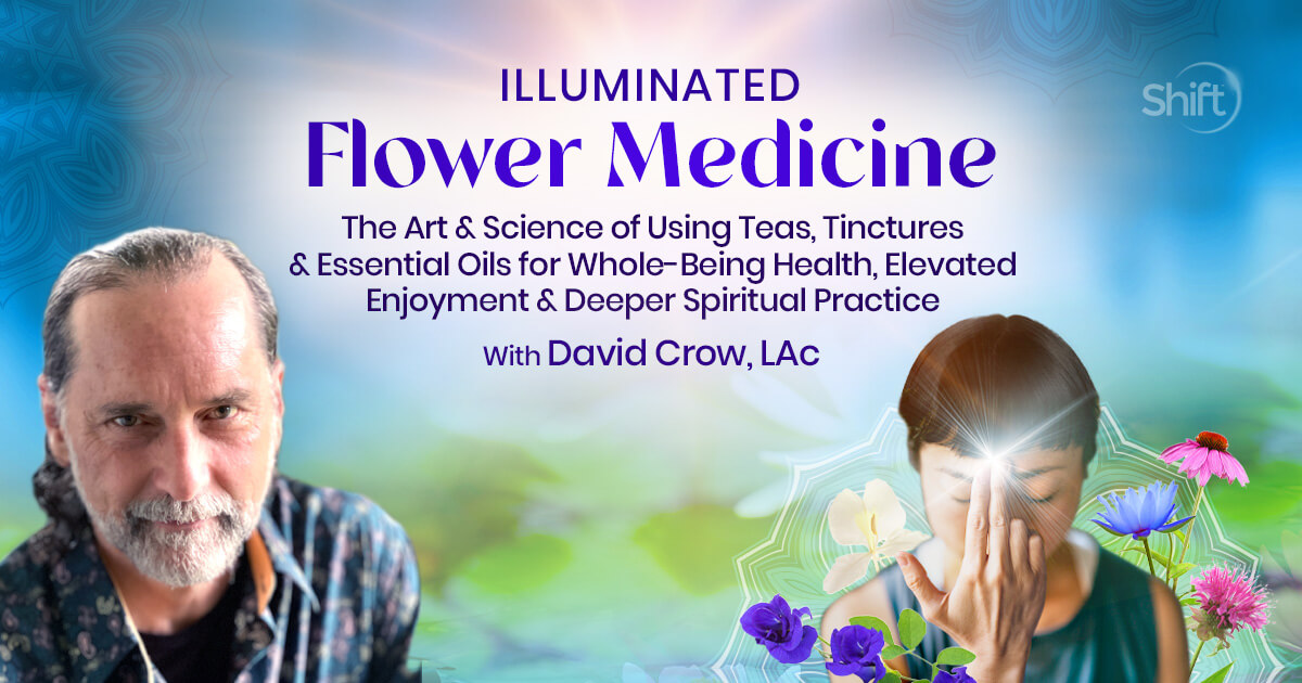Illuminated Flower Medicine With David Crow, LAc | The Shift Network