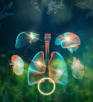 Trainings | The Shift Network