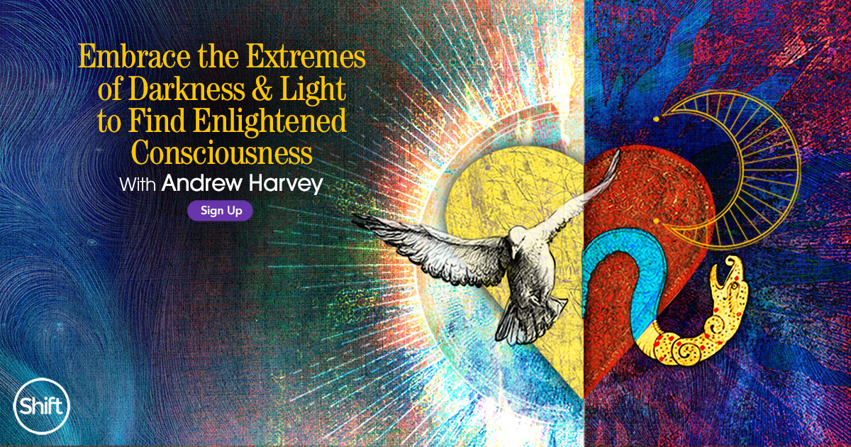 Embrace the Extremes of Darkness & Light to Find Enlightened ...