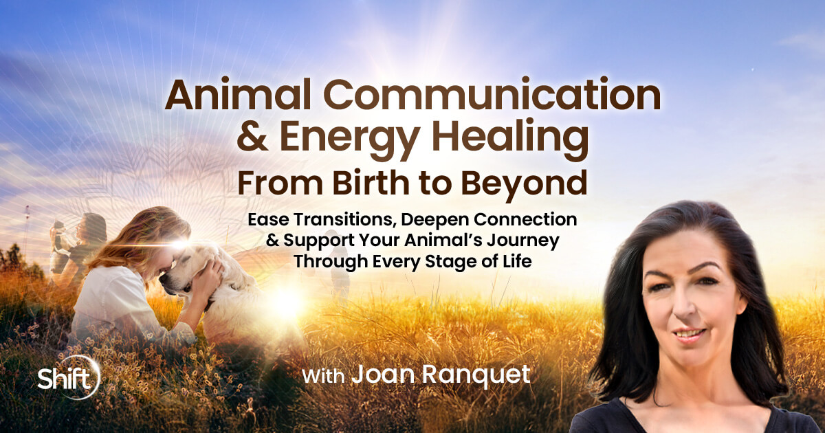 Animal Communication & Energy Healing From Birth to Beyond With Joan ...