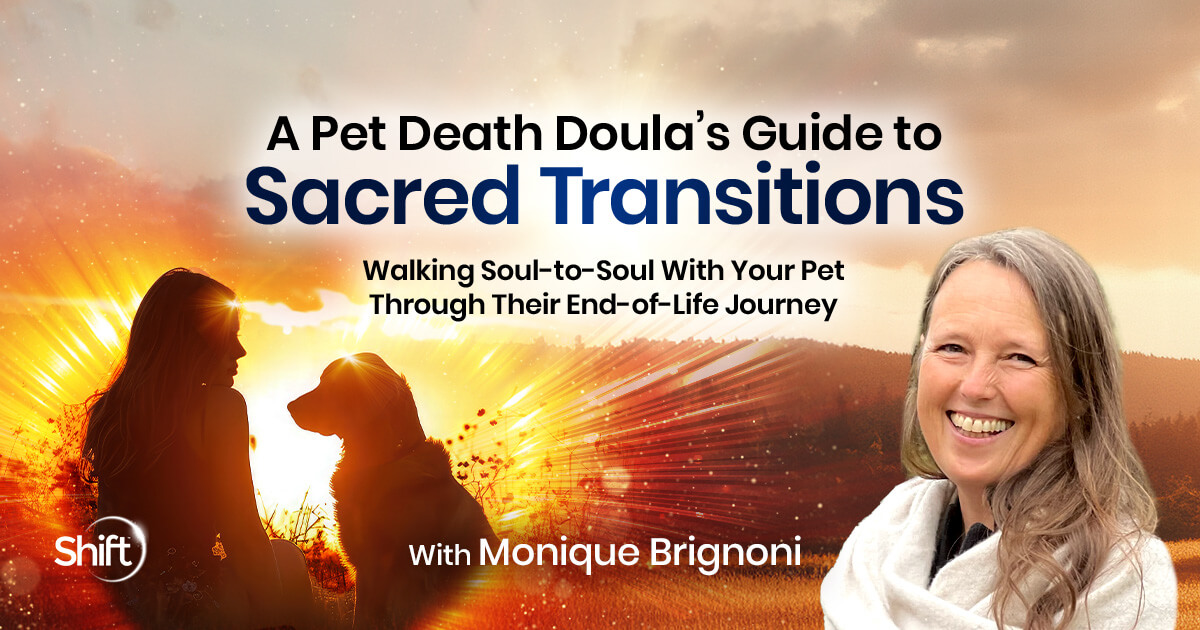A Pet Death Doula’s Guide to Sacred Transitions With Monique Brignoni ...