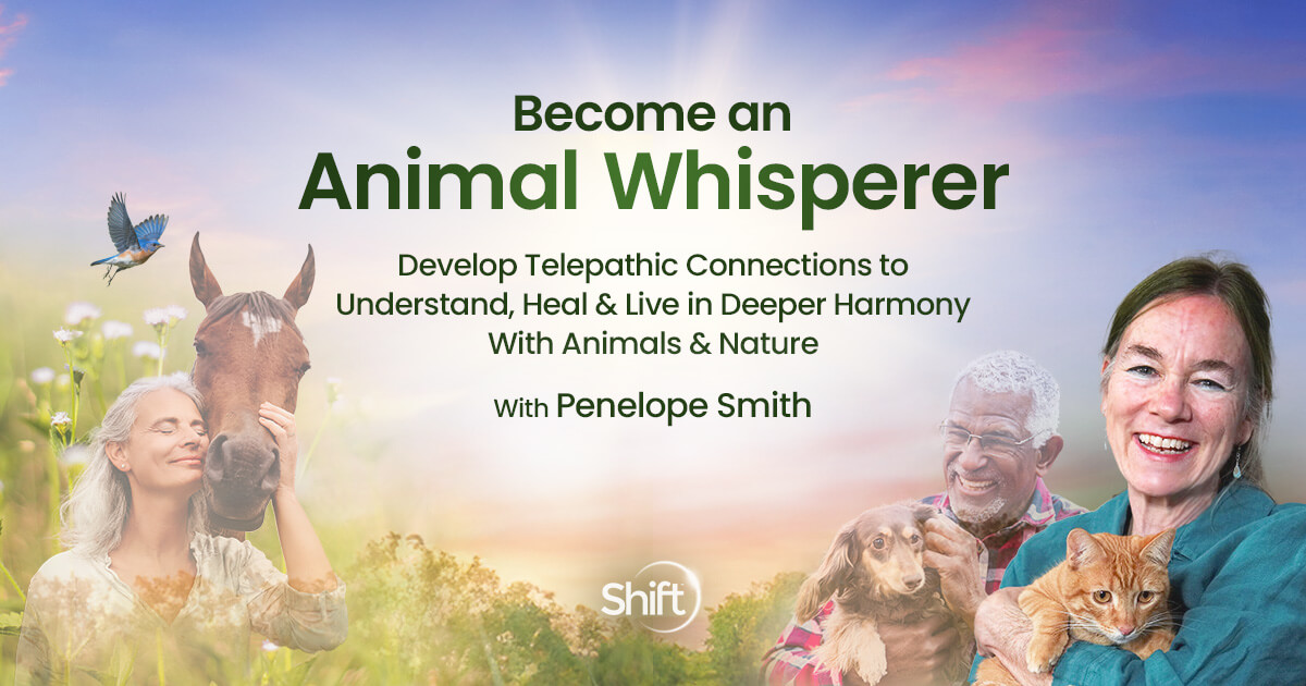 Become an Animal Whisperer With Penelope Smith | The Shift Network
