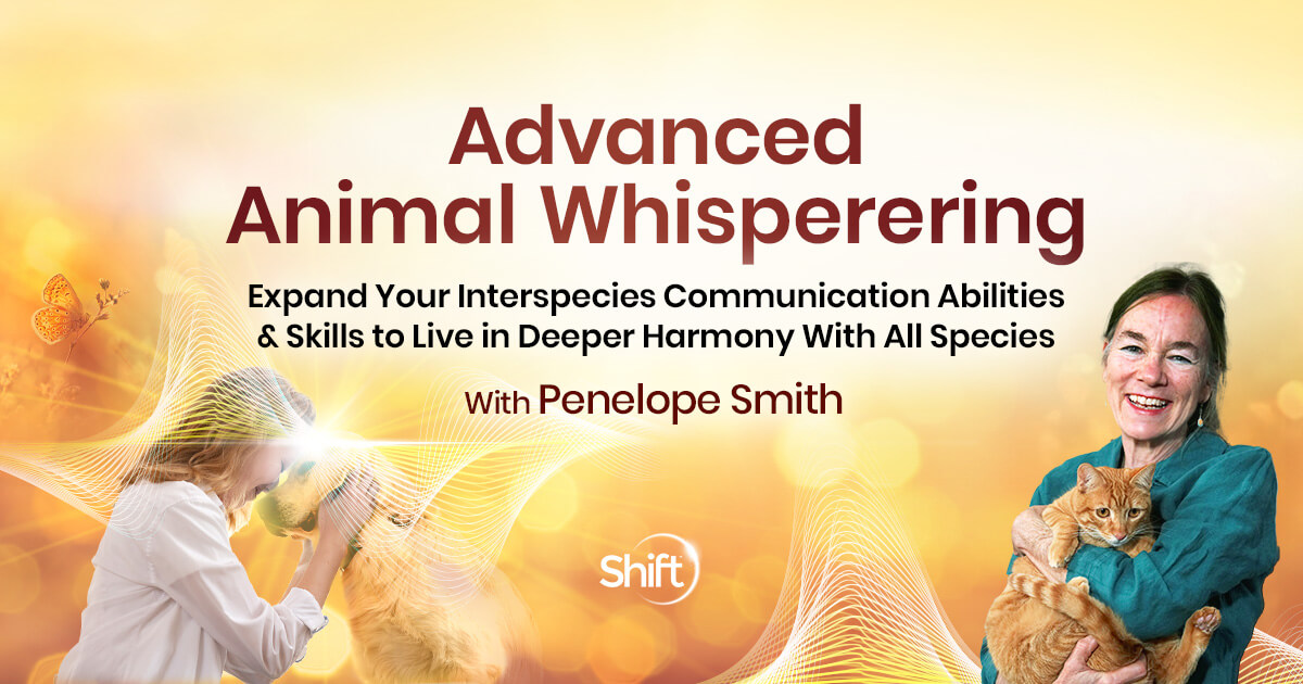 Advanced Animal Whispering with Penelope Smith | The Shift Network