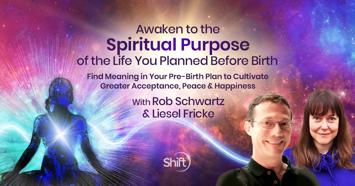 Awaken to the Spiritual Purpose of the Life You Planned Before Birth ...