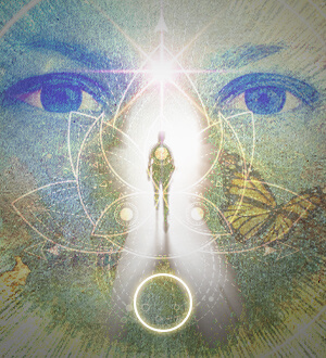 Trainings | The Shift Network